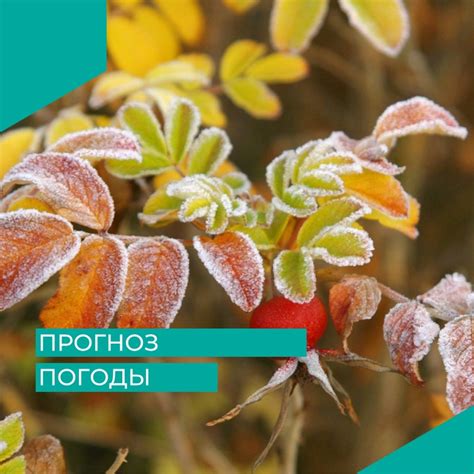 Сегодня 28 октября погода 6°c Пасмурно ветер слабый южный 3 7 м с Атмосферное давление 748