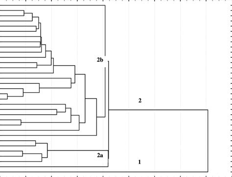 Dendrogram Based On The Single Linkage Method Of Clustering Between 33