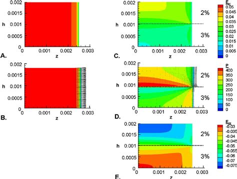 Finite Element Predictions Of Radial Strain A C Contour Mapping E