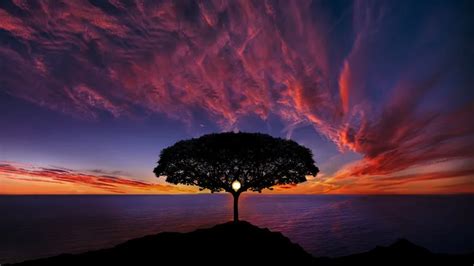 Perfectly Timed Pictures 22 Photos Thatll Make You Look Twice