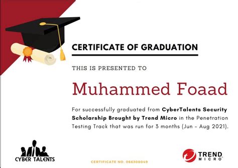 Cybersecurity Penetrationtesting Bughunting 2021achievements