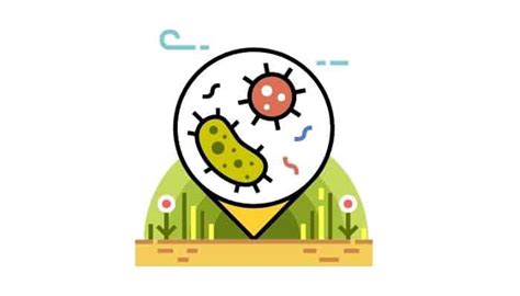 Compost Heap Method Of Composting The Scientific Gardener