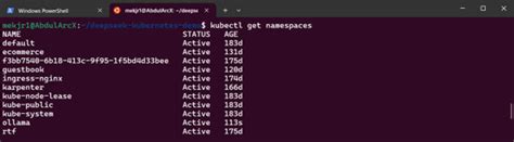 Deploying Ollama With Openwebui On Aws Eks Abdul Meque´s Meque