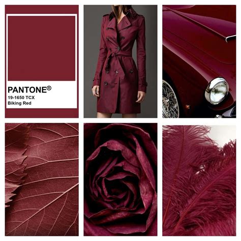 Пин от пользователя Rose Santana на доске Logo Lavanda Бордовый Стиль Дизайн