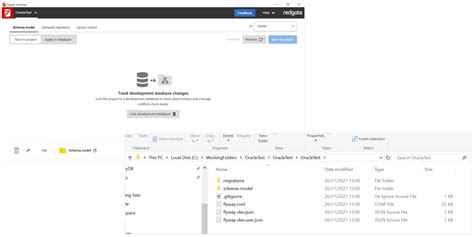 Flyway Desktop Dont Be Afraid Of Your Own Shadow Db Plantbasedsql