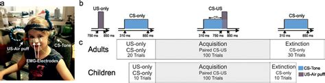 Experimental Set Up A And Delay Eyeblink Conditioning Paradigm B C Download Scientific