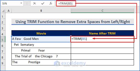 How To Use The TRIM Function In Excel Examples
