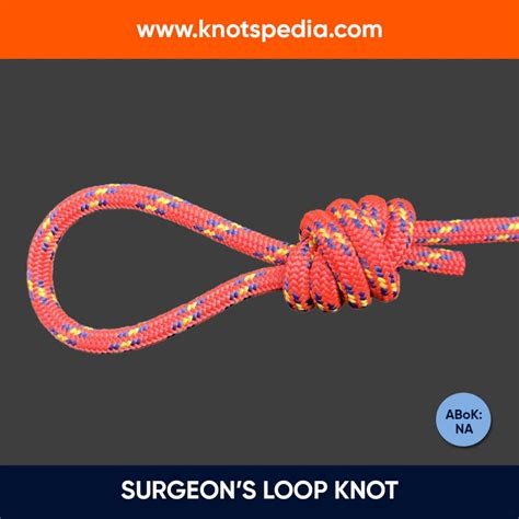 How To Tie Inline Figure 8 Knot Directional Figure 8 Knot