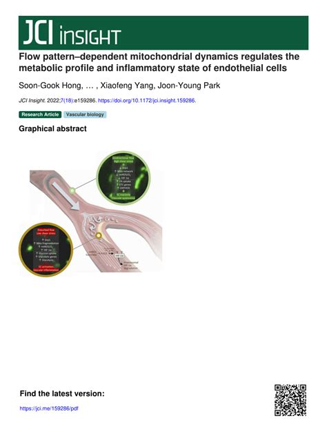 Pdf Flow Patterndependent Mitochondrial Dynamics Regulates The