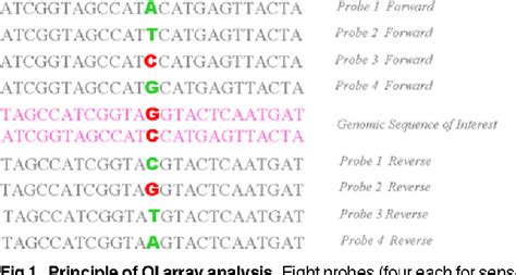 figure 1 from development of a high throughput resequencing array for
