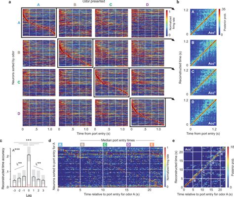 Hippocampal Ensembles Represent Sequential Relationships Among An Extended Sequence Of