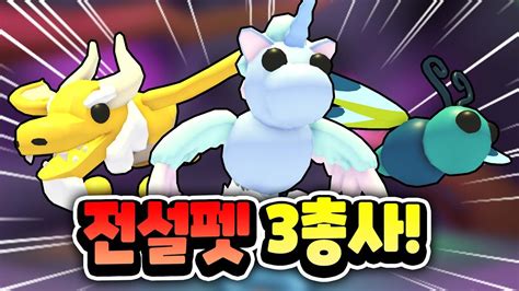 입양하세요 역대급 업데이트 전설펫이 무려 3마리 Youtube