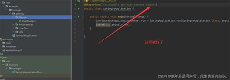 Springboot整合mybatis的时候报错positive Matches Csdn博客