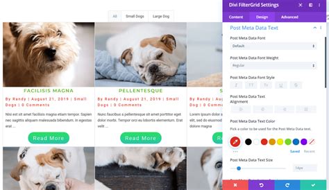 Divi Plugin Highlight Divi FilterGrid Ask The Egghead Inc