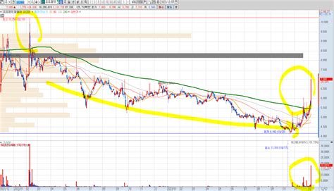 상한가를 부탁해 상부해 유유제약 바로팜 이커머스 폐렴관련 자가진단키트 탈모치료제 한동훈 산소포화도측정기 인공호흡기
