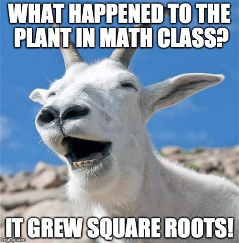 18 Math Teacher Memes That Just Make Sense We Are Teachers