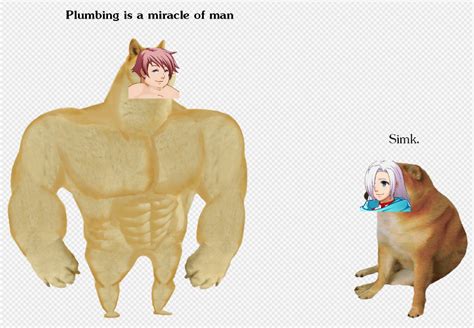 Olive And The Ruby Bra 299 By Frequenf Projects Weight Gaming