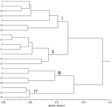 UPGMA Dendrogram Illustrating The Genetic Relationships Between M Download Scientific Diagram