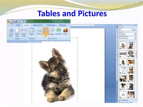 Basics Of Microsoft Office And Nudi Presentation At ATI Mysore By Mohan Kumar G PPTX