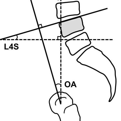Schematic Diagram Of The Measurement Of The Orientational Parameters In