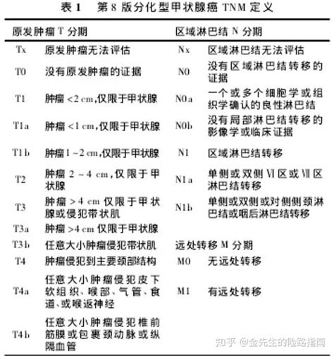 烂惑钞贬tnm指骡 知乎