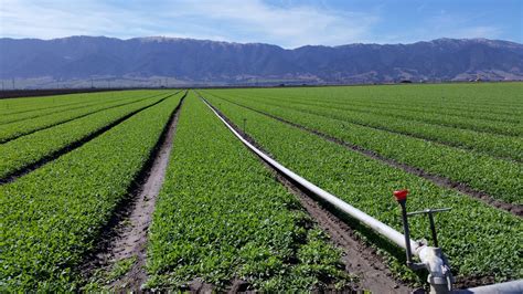 Hand Move Solid Set Hastings Irrigation Pipe Co