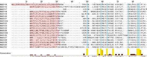 Multiple Sequence Alignment Of Peptide Sequences For The 19 Novel Download Scientific Diagram