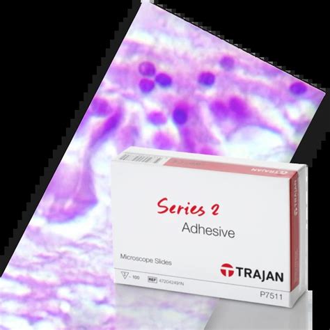 Microscope Slides Syntec Group