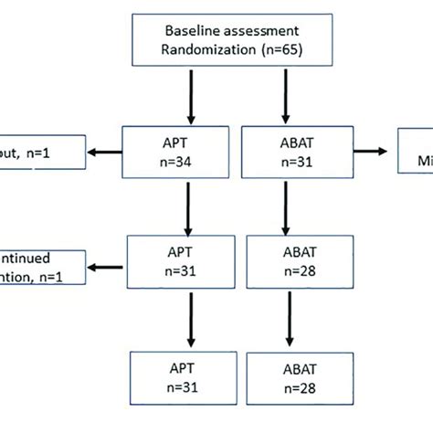 Demographics And Inclusion Data For The Attention Process Training