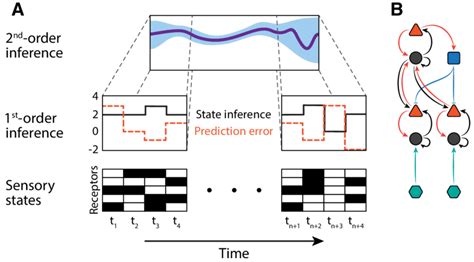 Perceptual Dynamics Under Hierarchical Active Inference A In This