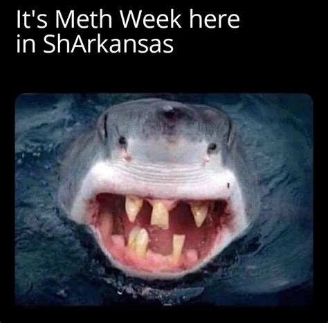 Only On Discovery Meme Subido Por Chedlaysir Memedroid