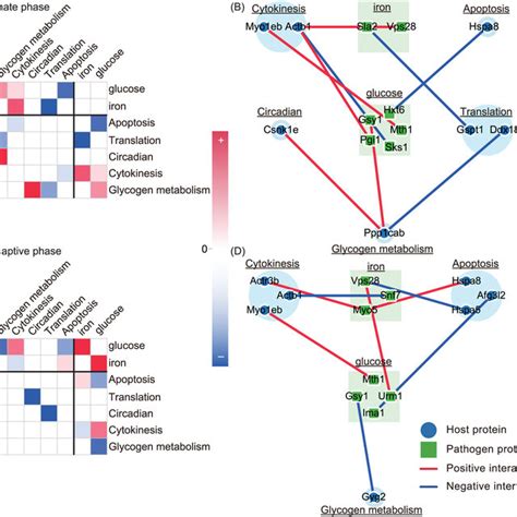 Overview Of The Dynamic Host Pathogen Protein Protein Interaction Download Scientific Diagram