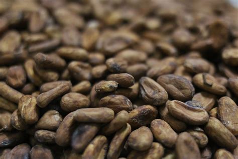 What Is The Difference Between Cocoa And Cacao Pediaa Com