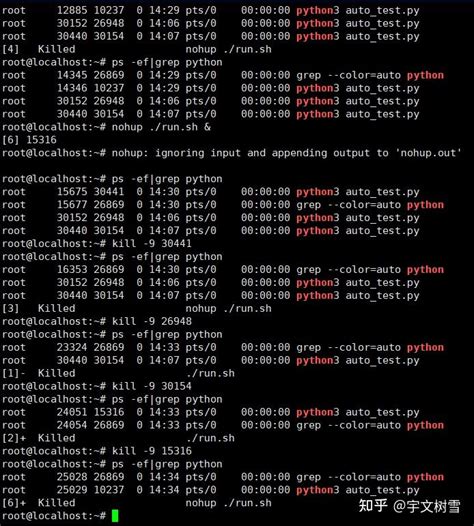 Python程序意外中断自动重启shell脚本 知乎
