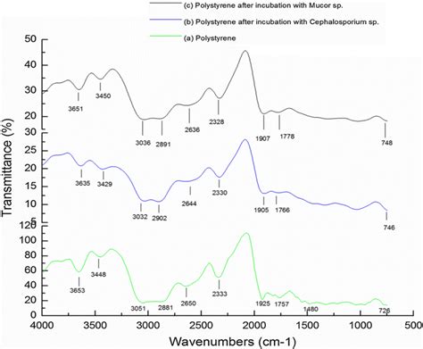 Ftir Spectrum Of A Pure Polystyrene B Polystyrene After 8 Weeks Of Download Scientific Diagram