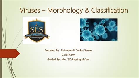 Viruses Morphology And Classification Pptx Genetics Science