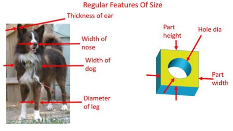 features and features of size dimensional consulting