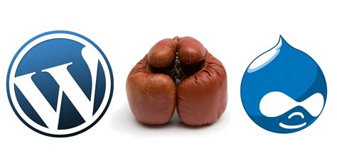 Drupal Vs Wordpress Whats Right For You