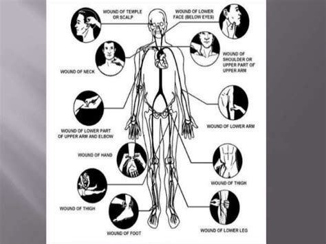 цус алдалтийн үед үзүүлэ х анхны тусламж 1