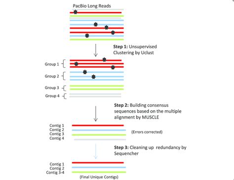 Schema Of The Clustering Based Data Analysis Procedure Using Pacbio