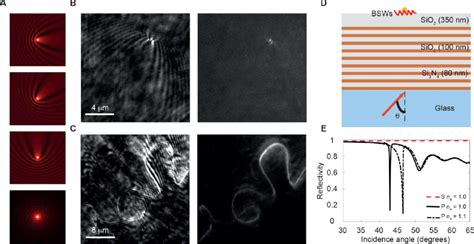 Sprm Ari Imaging And Bloch Surface Wave Microscopy A Schematic Download Scientific Diagram
