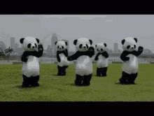 Panda Happy S Tenor