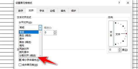 如何将excel表格中输入的人名对齐显示 360新知