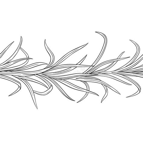 Lemongrass Outline Horizontal Seamless Pattern Stock Illustration Illustration Of Herb Food