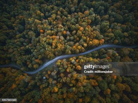 Ariel Trees Photos And Premium High Res Pictures Getty Images