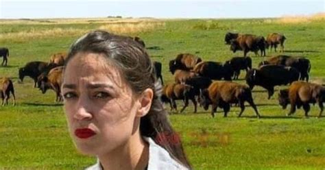 MyRightWingDad Net FW FW More Of AOC