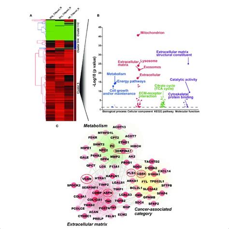 Bioinformatic Analysis Of Differentially Expressed Proteins Deps By