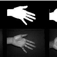 Color Based Segmentation Download Scientific Diagram