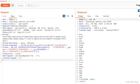 青少年ctf Php的后门 Csdn博客