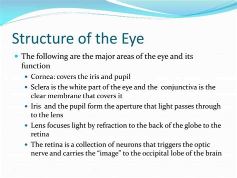 Ppt Structure Of The Eye Powerpoint Presentation Free Download Id 1930831